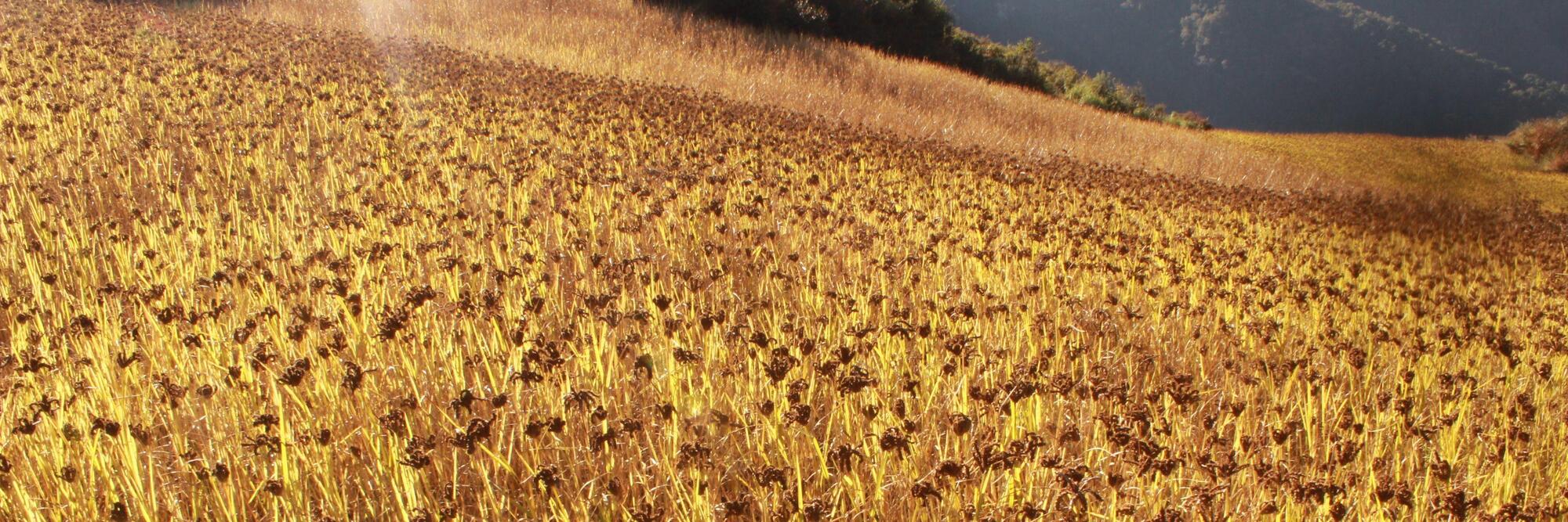 Home | Beautiful Feet Ministries